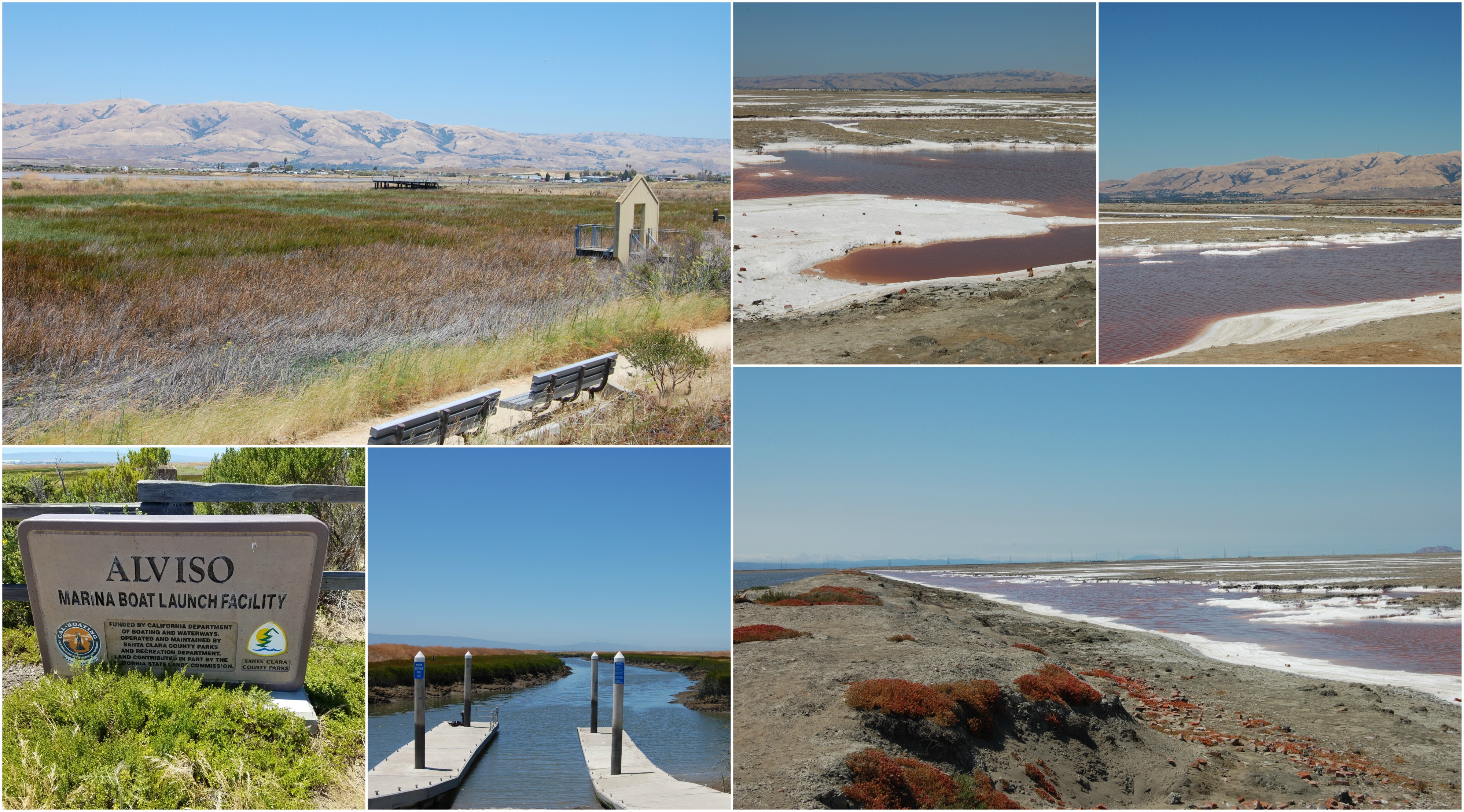 Alviso Marina County Park – Capturing Moments