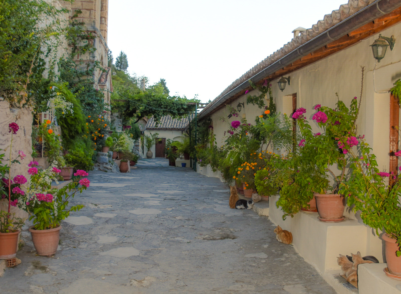 A Peek at Life inside the Pantanassa Monastery in Mystras – Capturing ...
