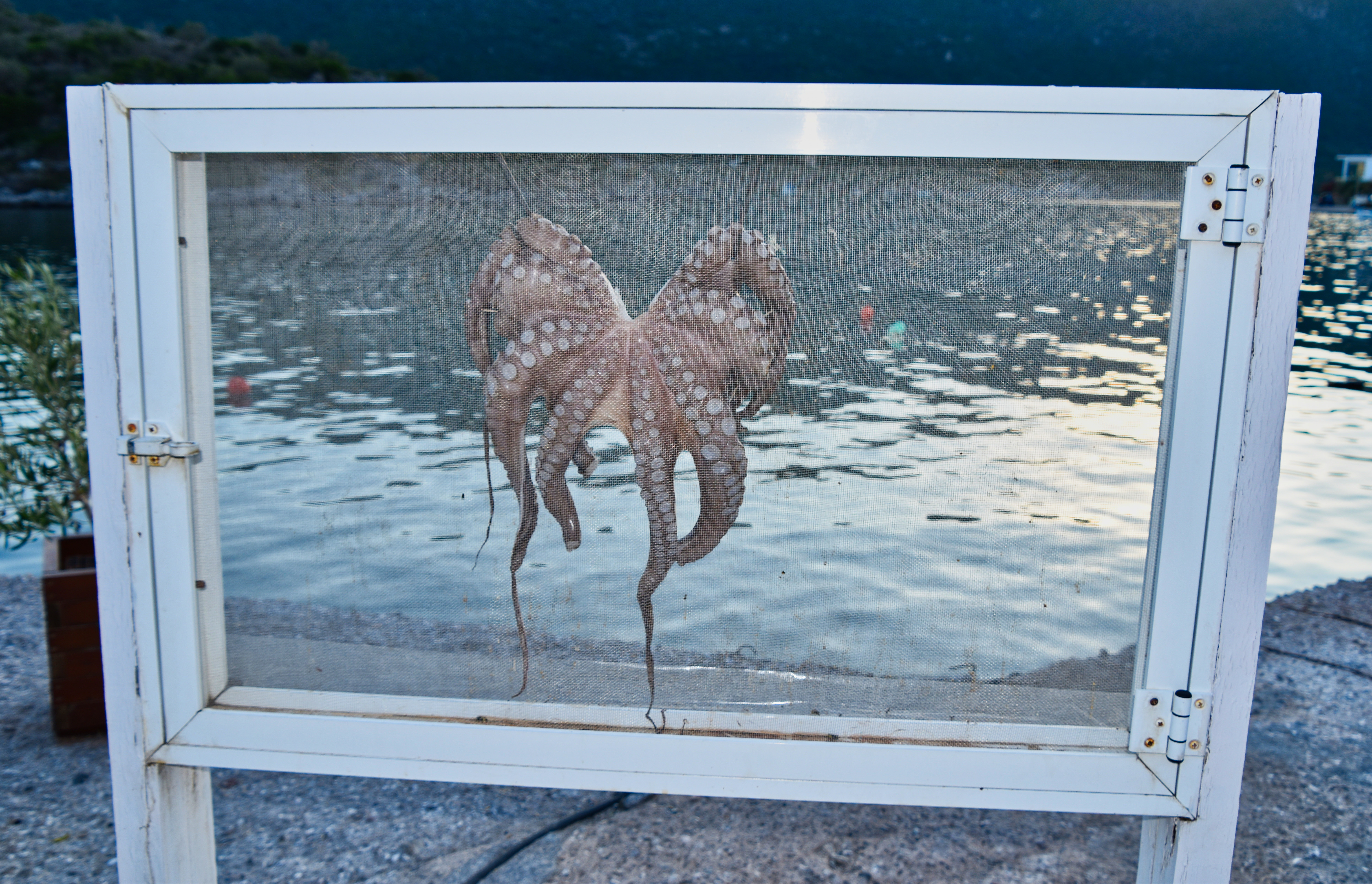 The Pint-Sized Port of Gerakas – Capturing Moments