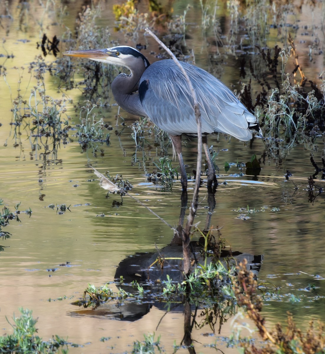 Wintertime at Sandy Wool Lake – Capturing Moments
