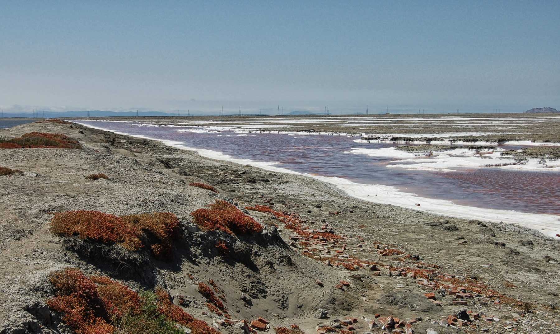 Unworldly Beauty at the Alviso Salt Ponds – Capturing Moments