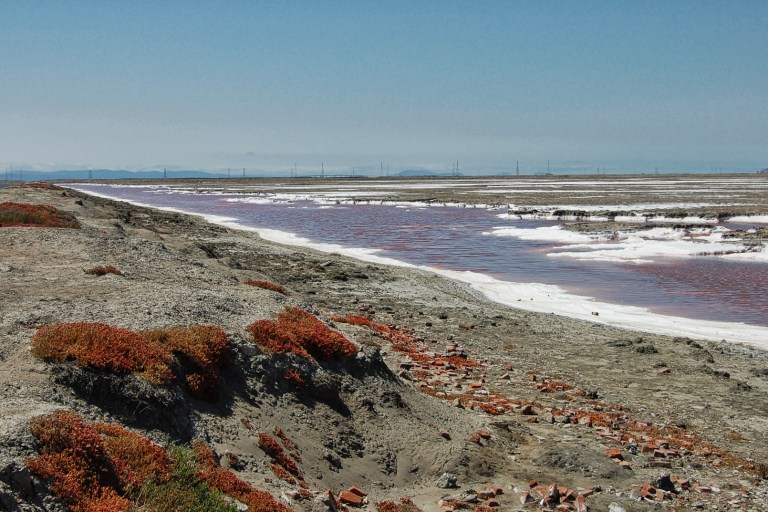 Unworldly Beauty at the Alviso Salt Ponds – Capturing Moments