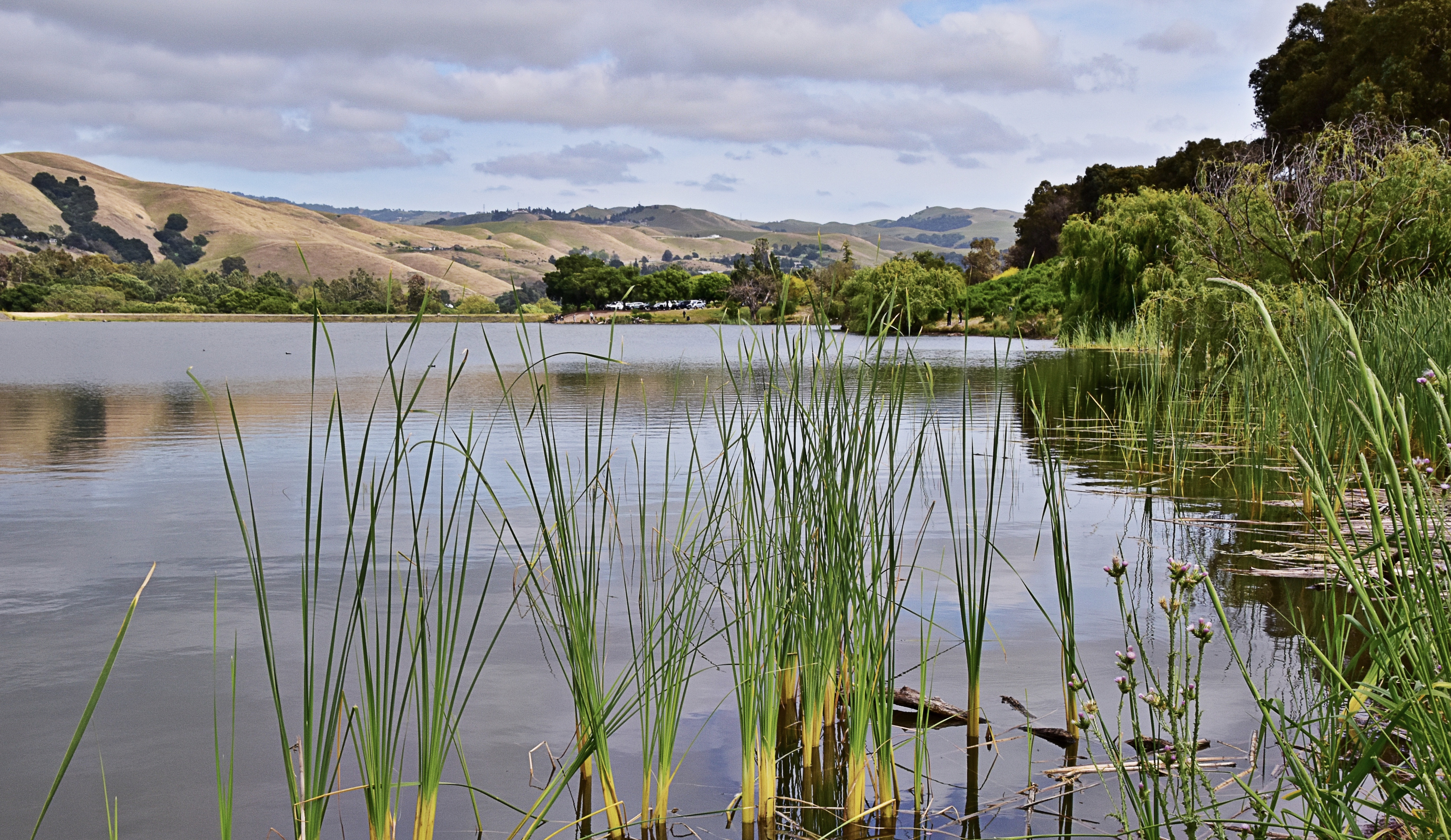 Late Spring at Sandy Wool Lake – Capturing Moments